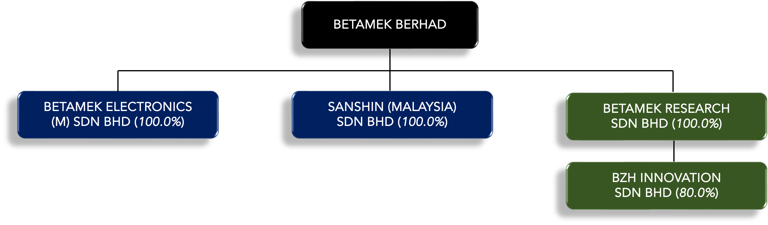 About Betamek Berhad